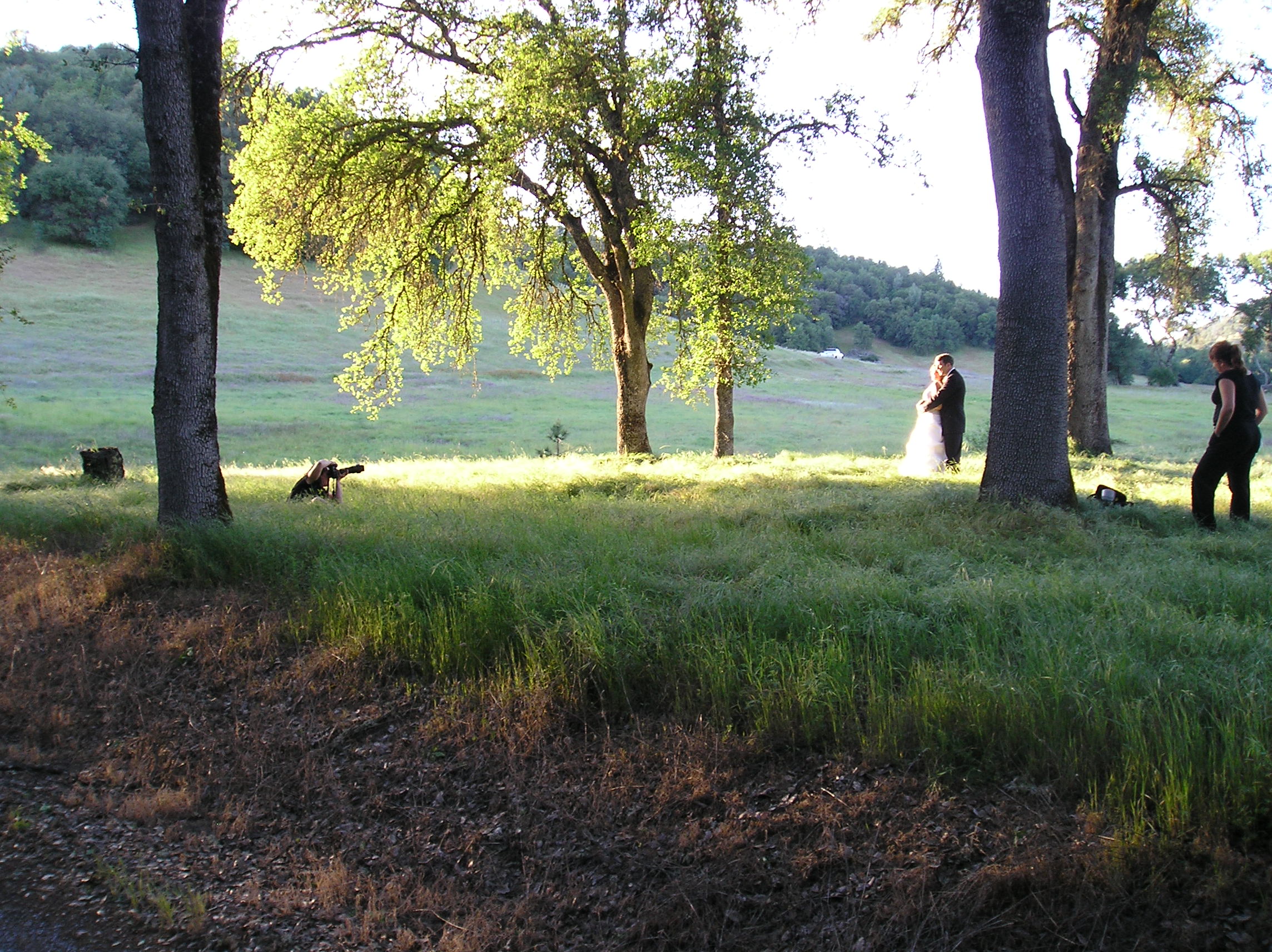 Stalking Her Prey... · Lisa Richmond Photography Blog