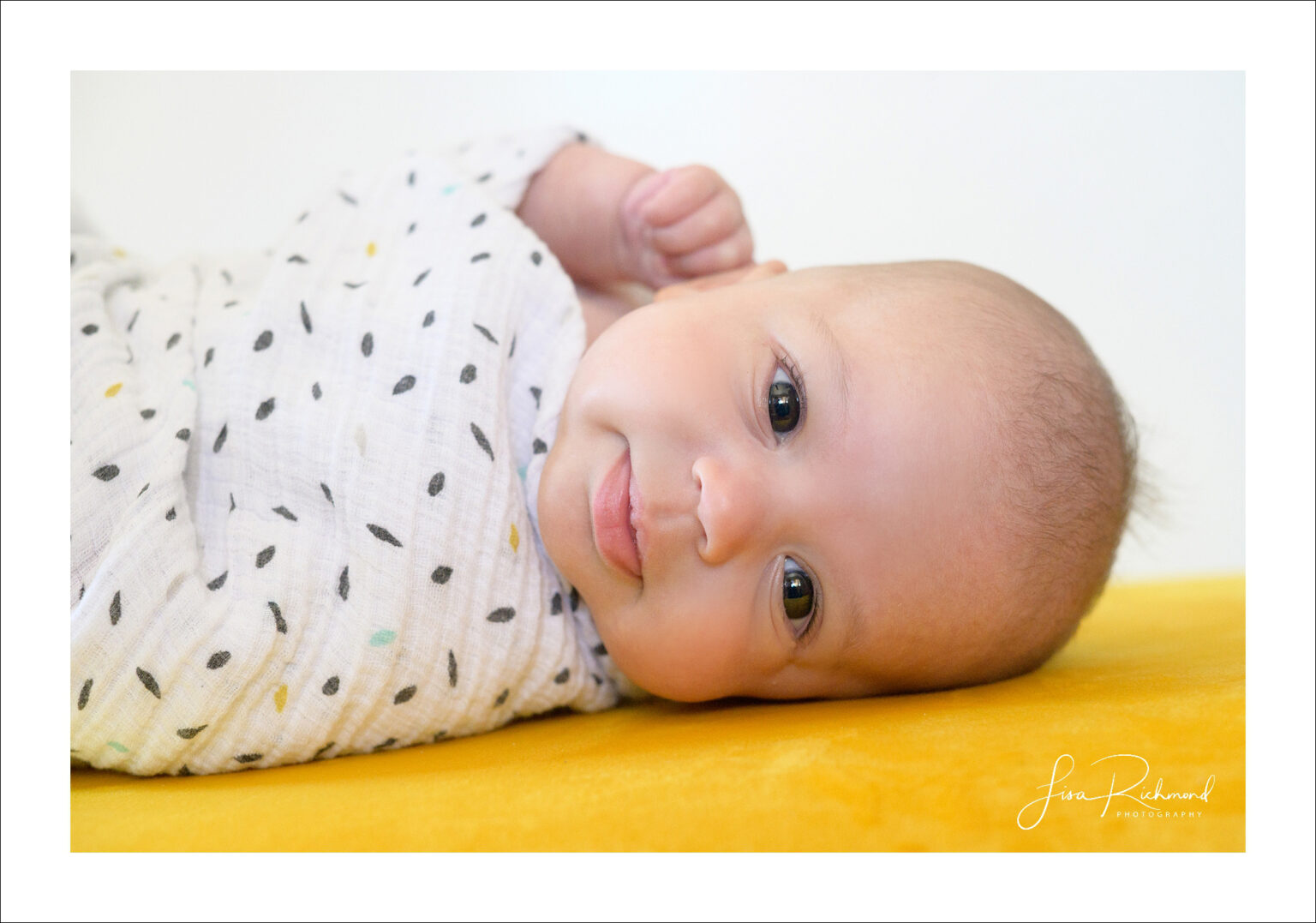 Baby Benito is 10 weeks old! · Lisa Richmond Photography Blog